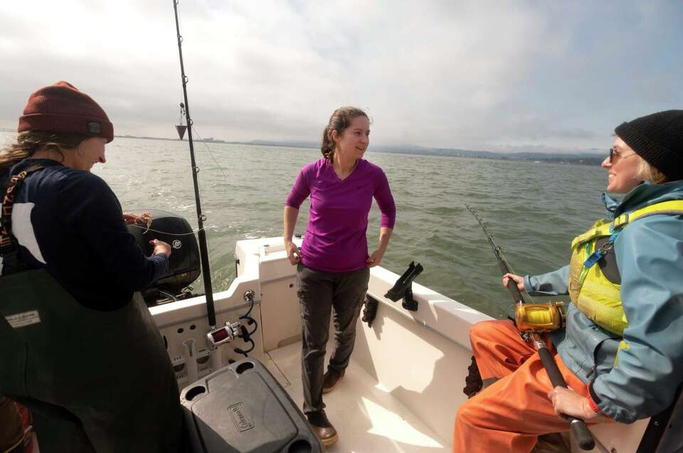 Vials of shark blood, ousted CEO, lawsuits: SF institution in turmoil