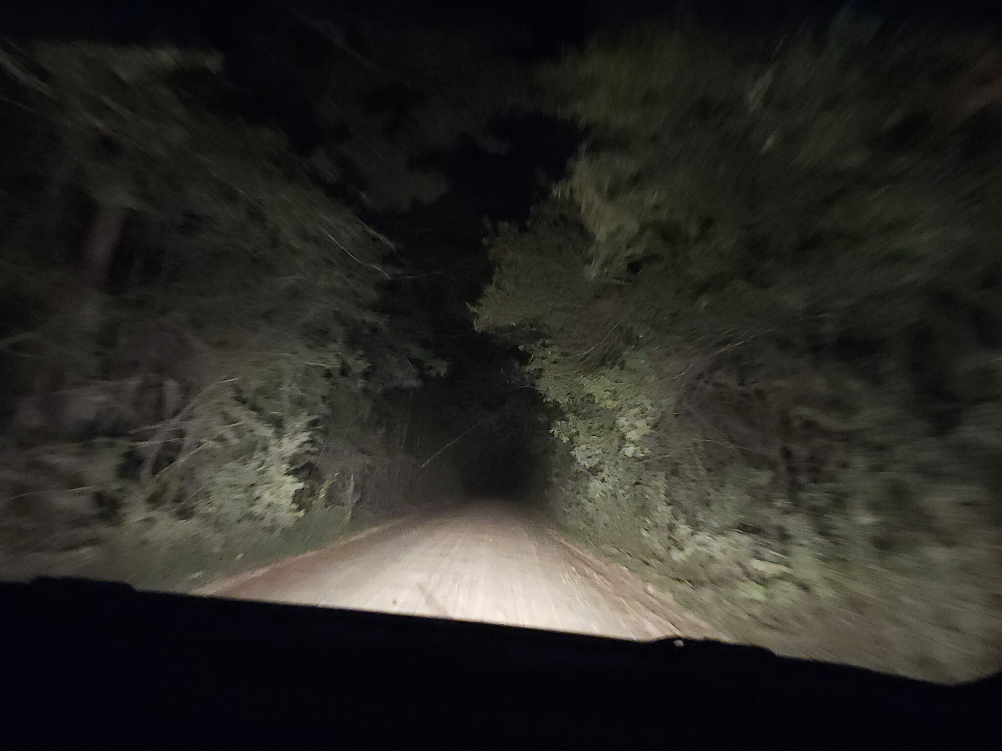 Discover the haunted Saratoga Light on Texas's Bragg Road
