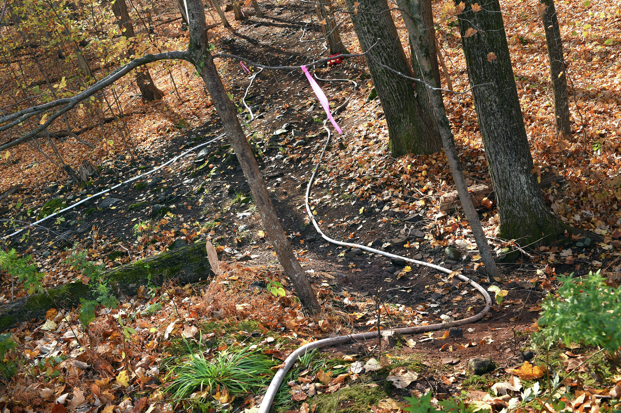 Brush fires continue to ignite across CT. Will rain this week help?