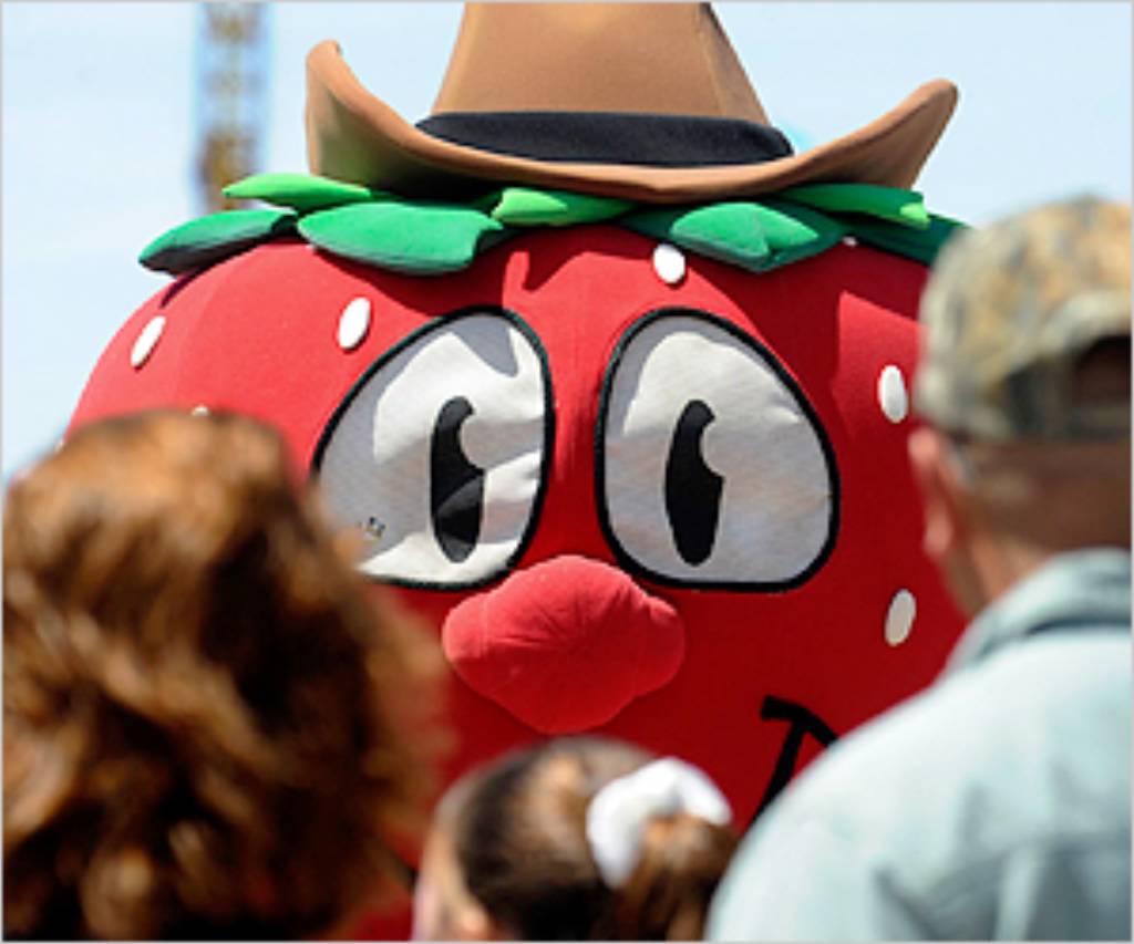 Strawberry fest true to tradition