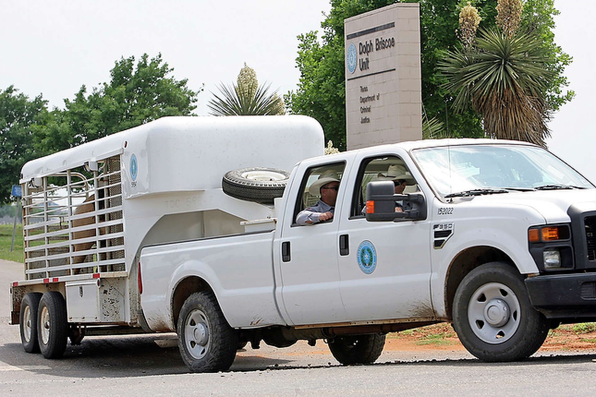 Briscoe Prison Escape