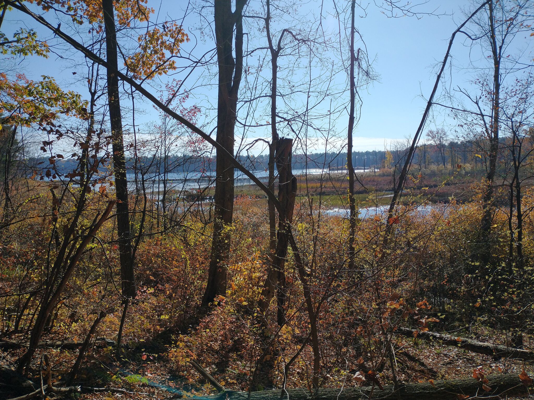 Big Bay Preserve offers views and easy walking
