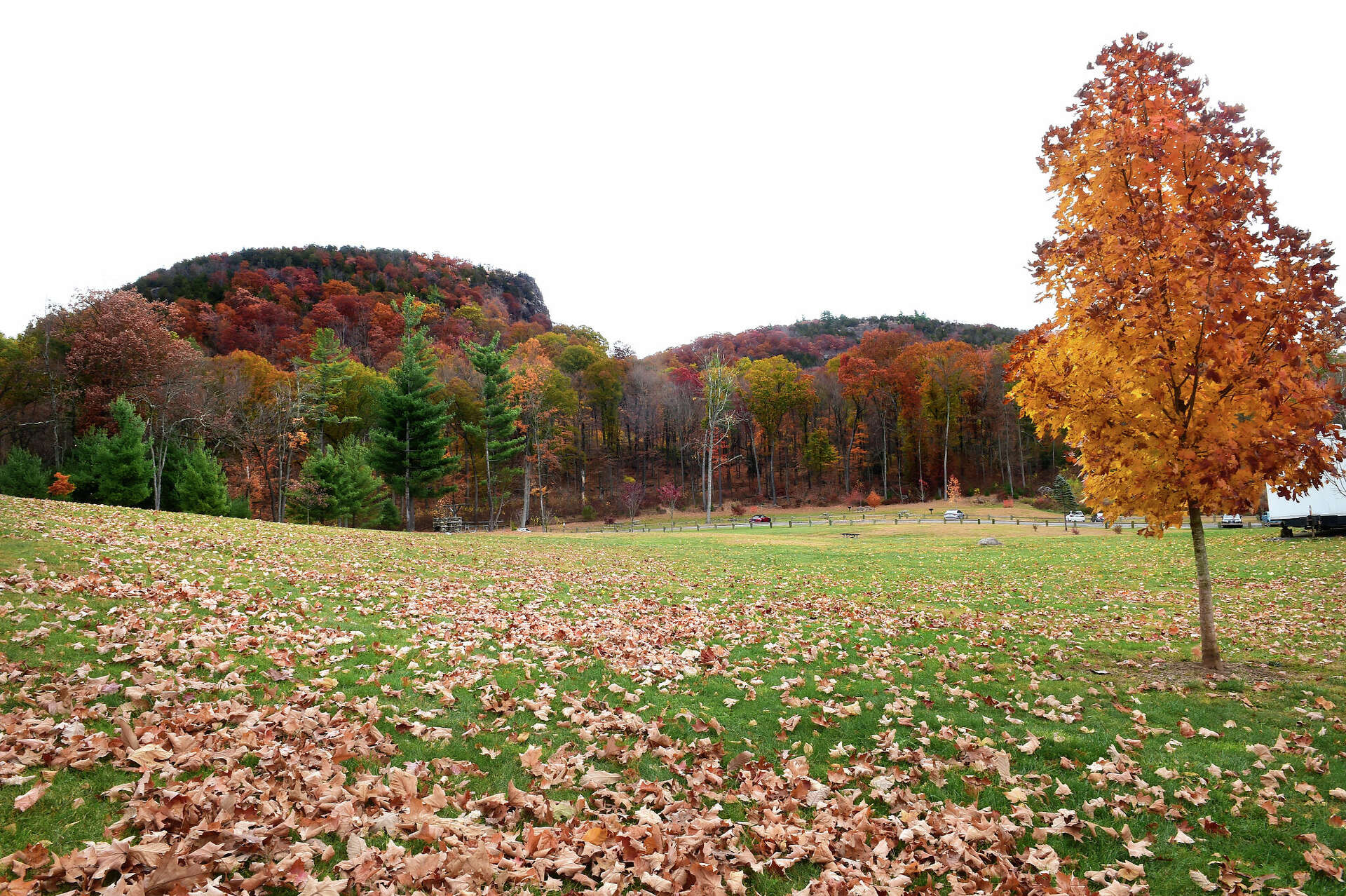 Sleeping Giant State Park expanding by 28 acres