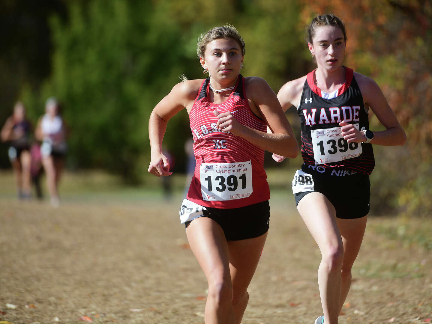 2024 CT high school girls cross country championships roundup.