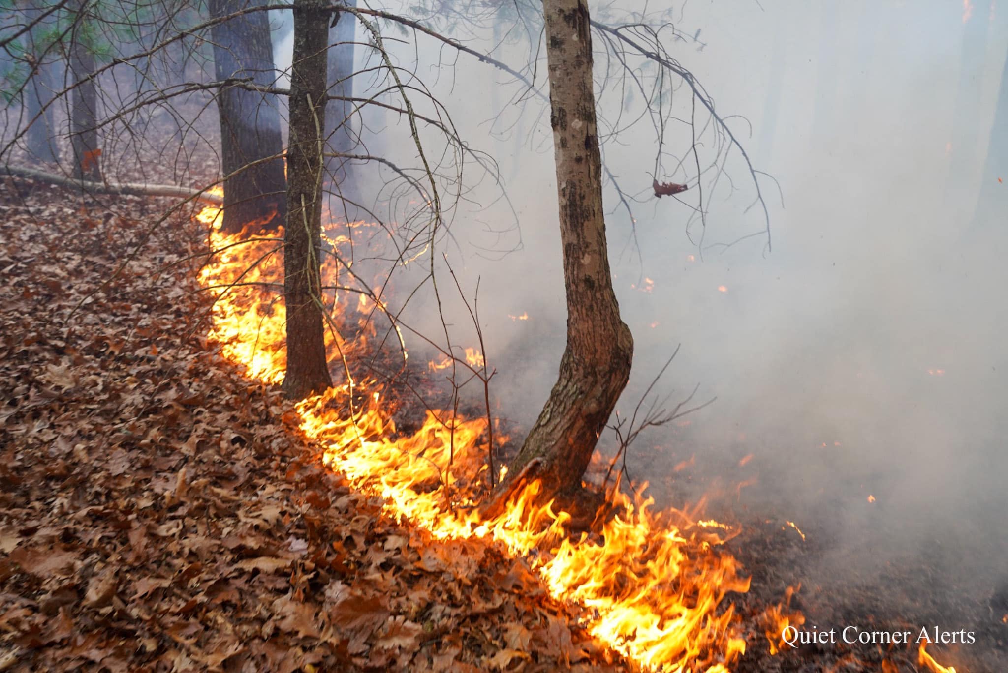 Thompson officials: Firefighters battling structure and brush fire