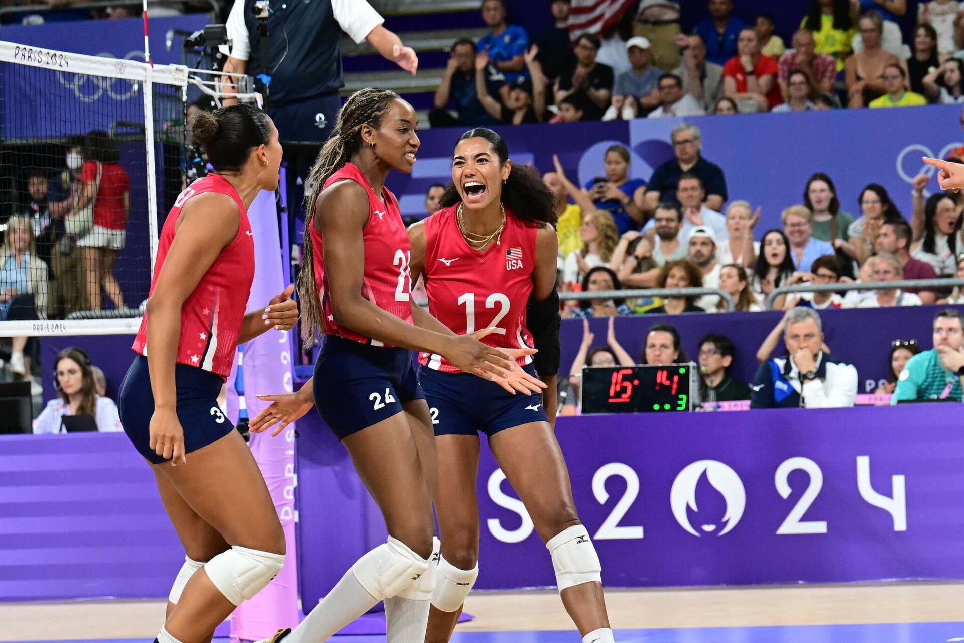 Professional Volleyball Teams