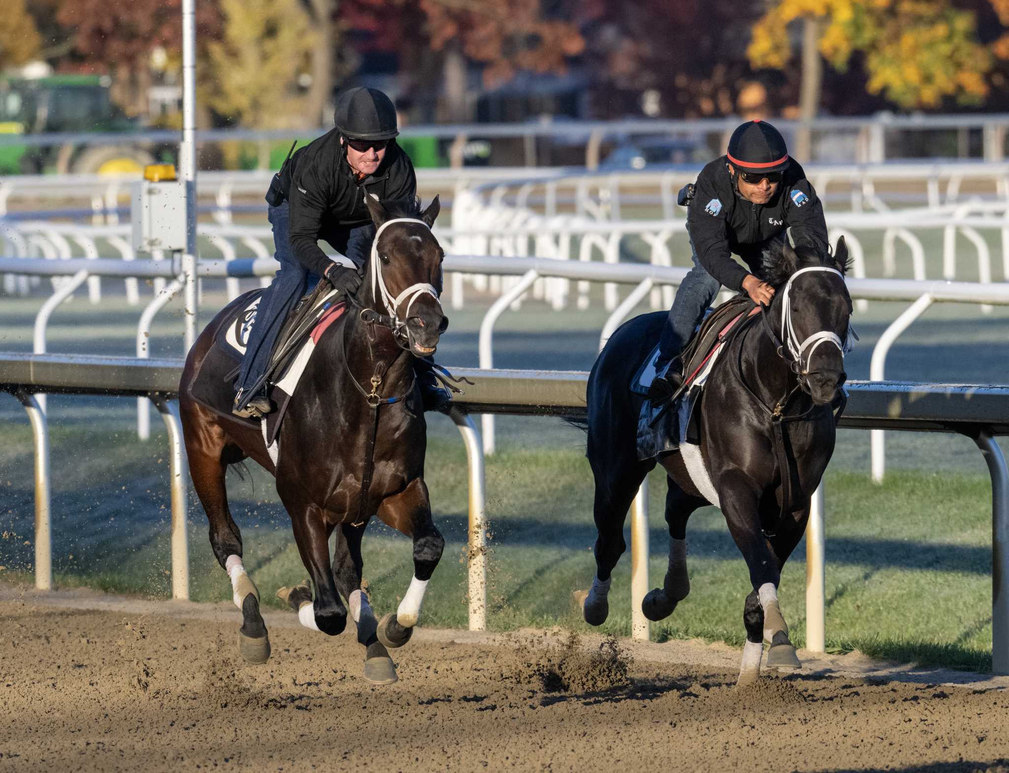 Grade 1 Met Mile field at Saratoga Race Course is small but mighty
