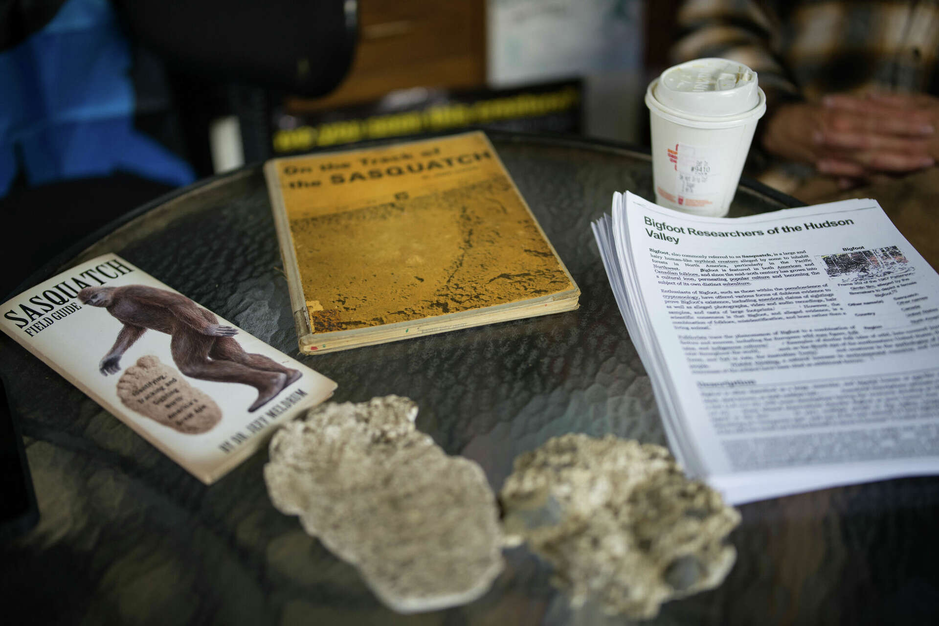 Finding Bigfoot: Local group scours Hudson Valley for evidence