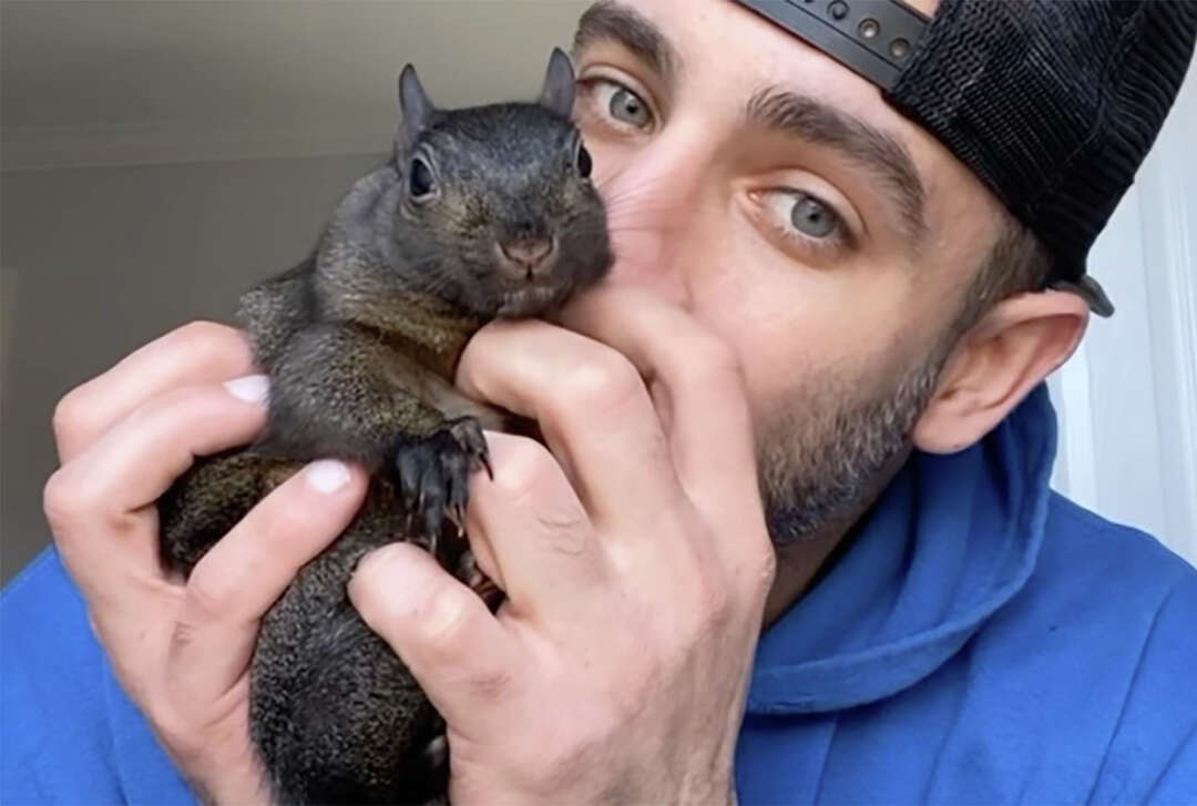 Peanut the squirrel was euthanized by the NY DEC