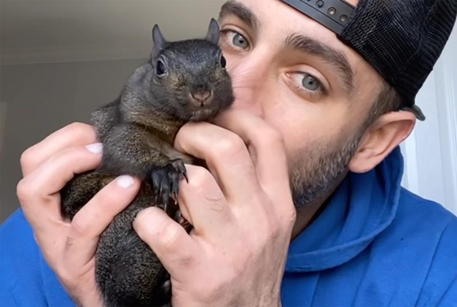 Peanut the squirrel was euthanized by the NY DEC