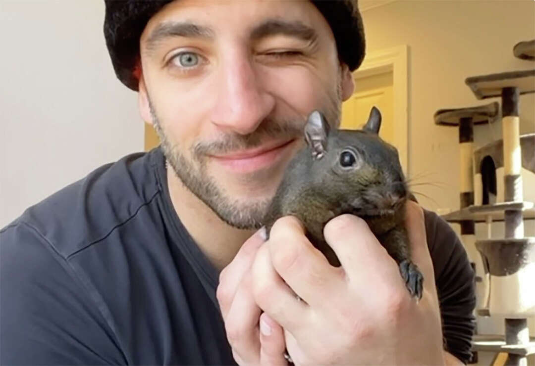 Peanut the squirrel owner facing possible gun charge