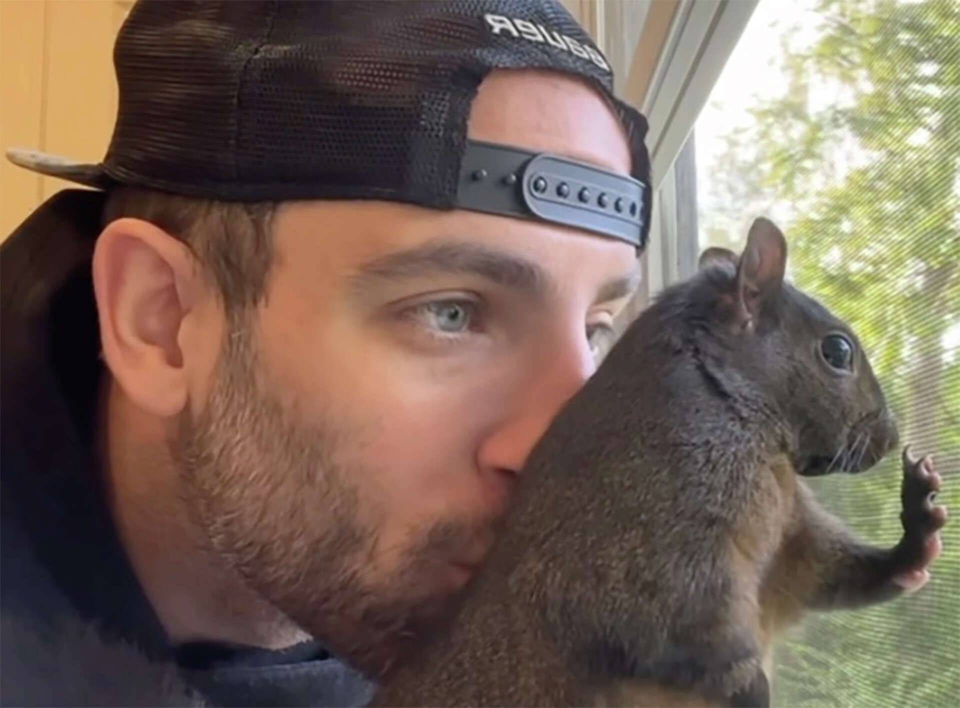 DEC investigates raid that led to death of Peanut the squirrel