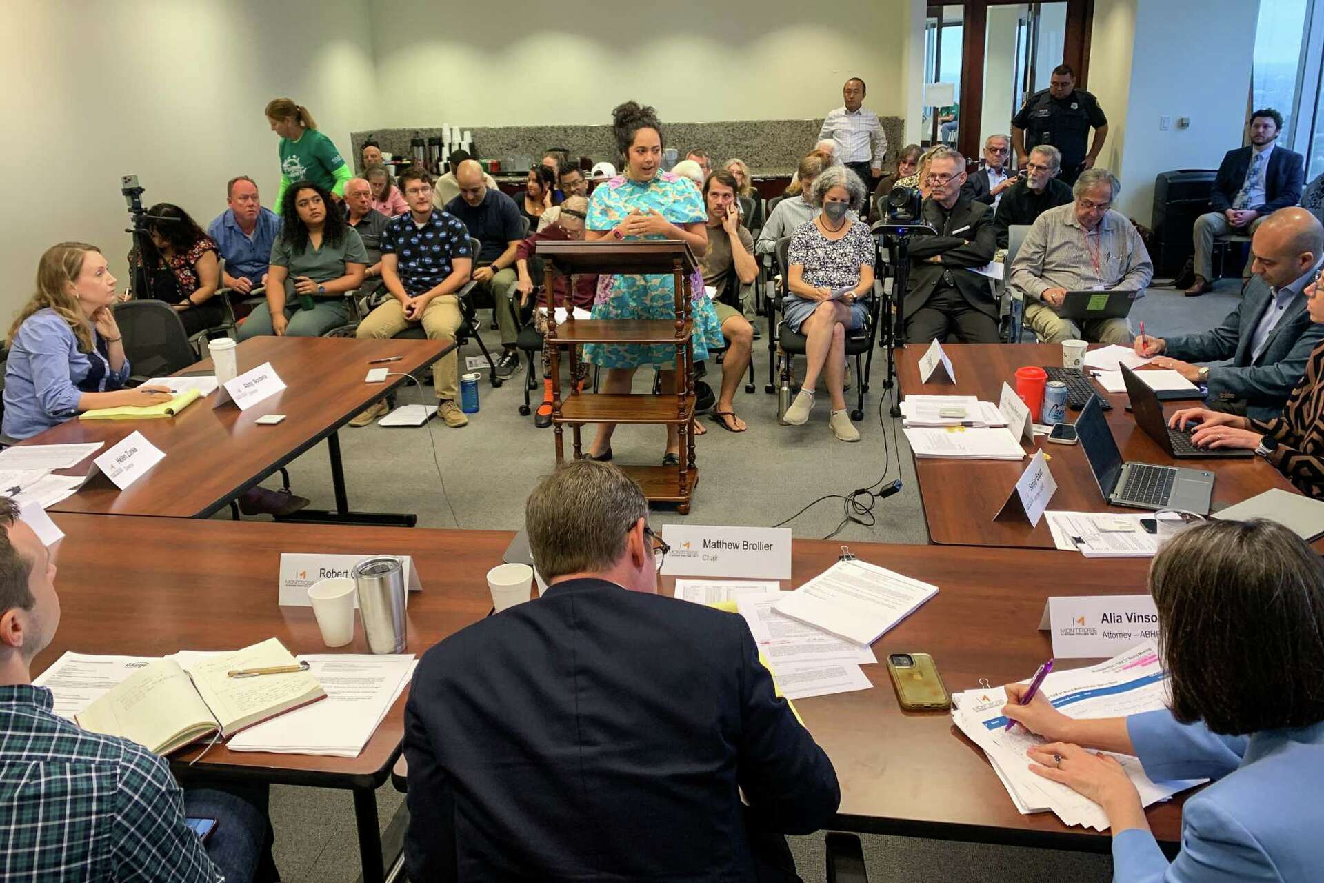 Whitmire plan for Montrose Blvd. moves forward as TIRZ changes course