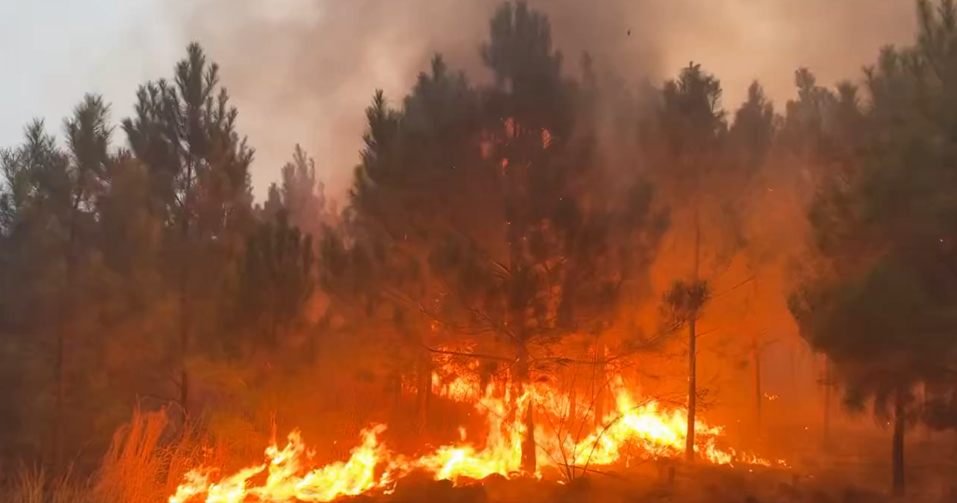 400-acre wildfire in Bastrop County prompts evacuations