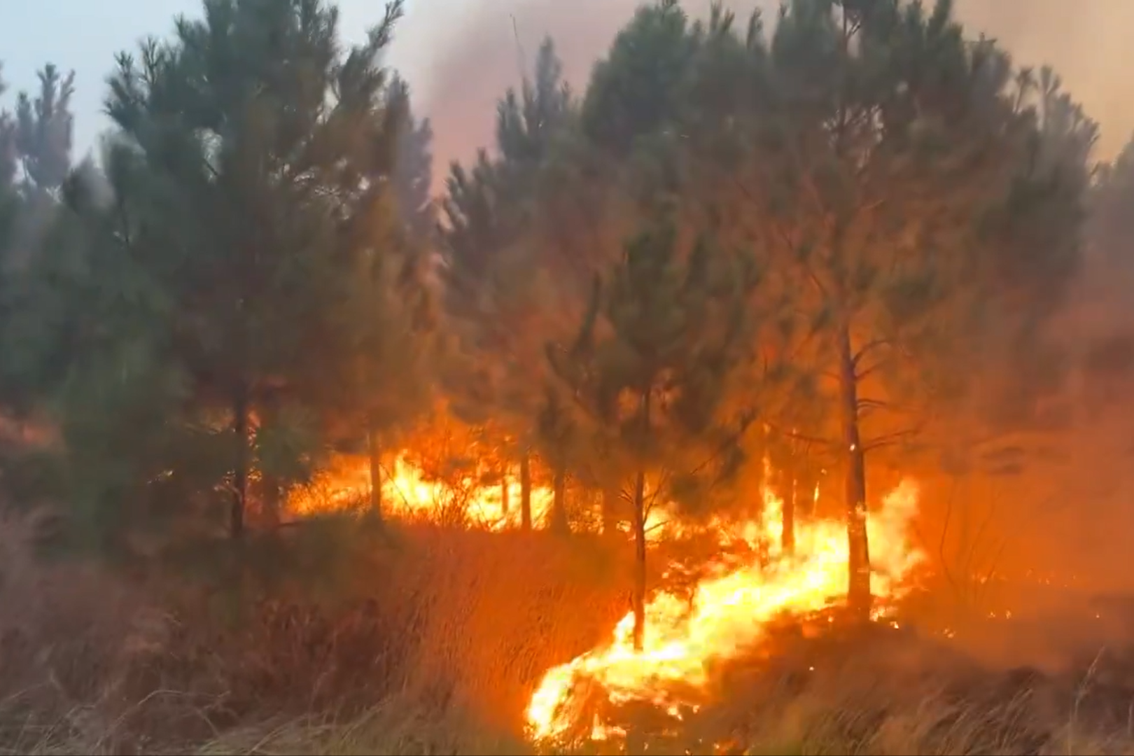Officials confirm cause of massive wildfire burning in Texas