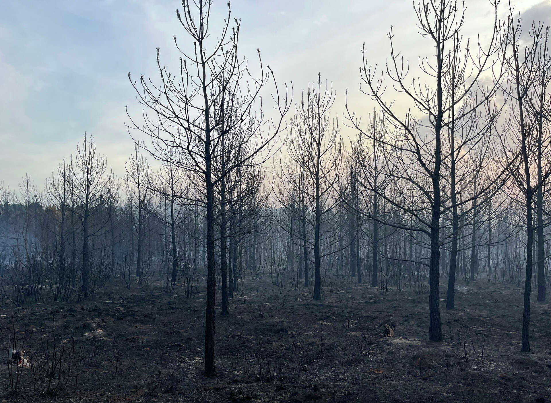 400-acre Texas wildfire at site of 2011 disaster prompts evacuations