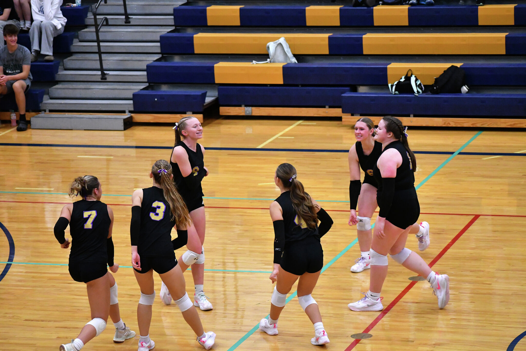 Frankfort volleyball sweeps Brethren to start districts