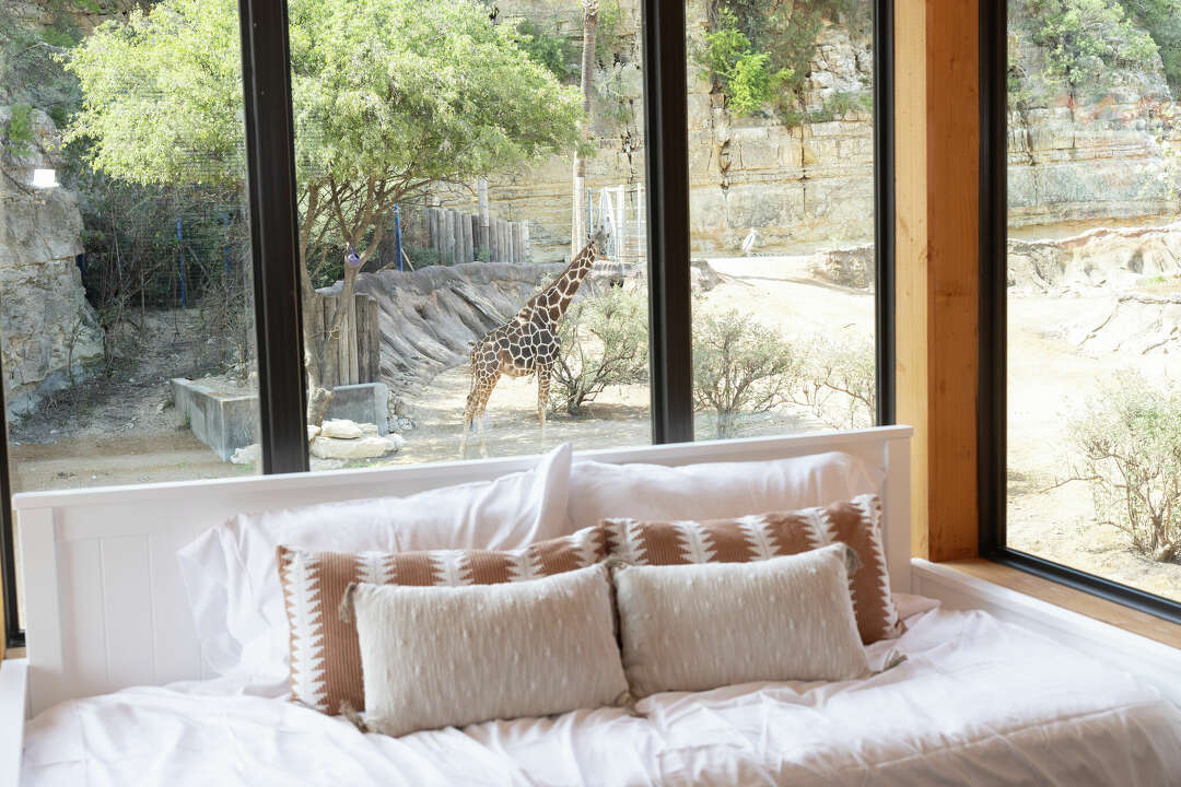 Photos: Sneak peek into San Antonio zoo's overnight lodge