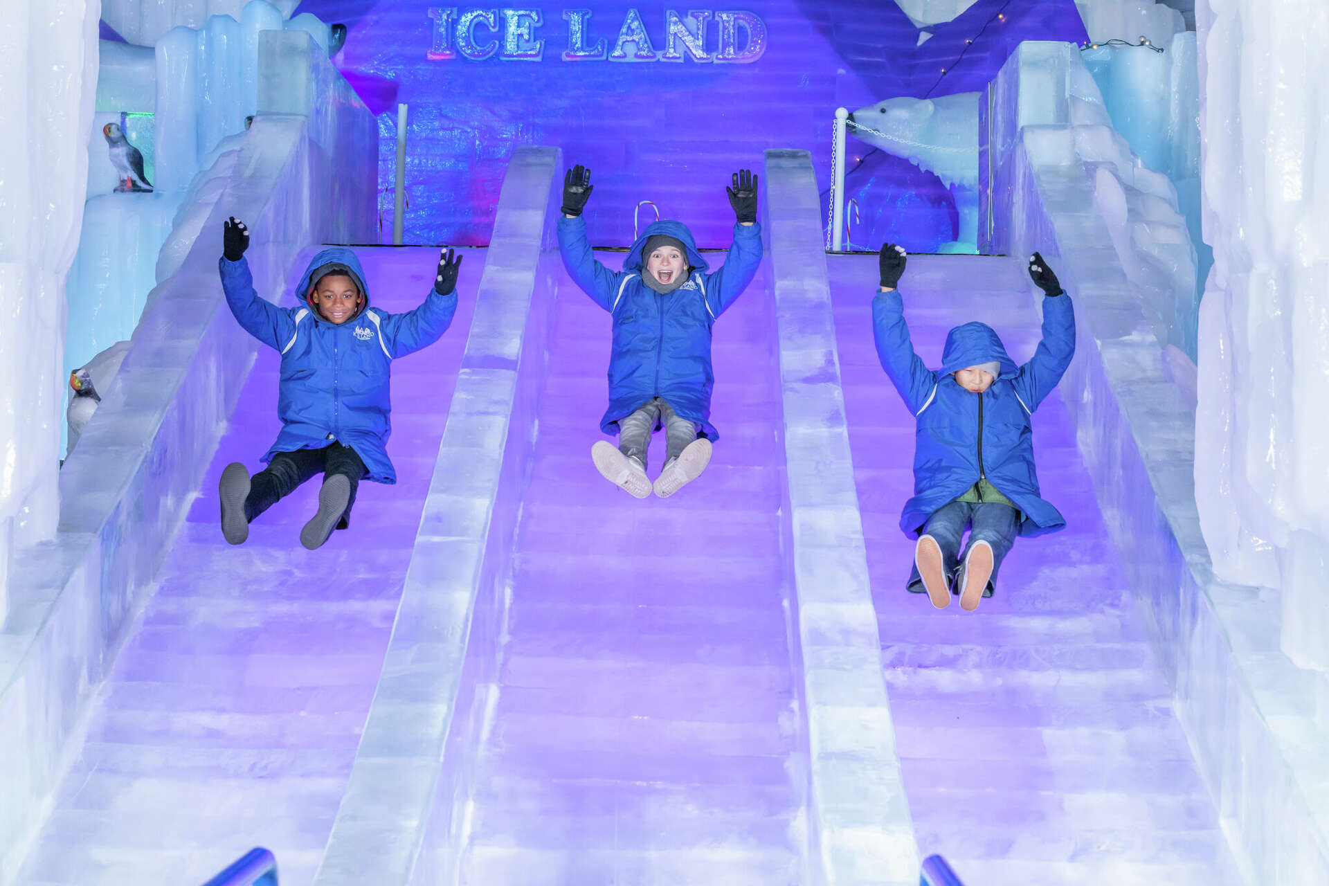Ice Land returns to Moody Gardens in Galveston for the holiday season