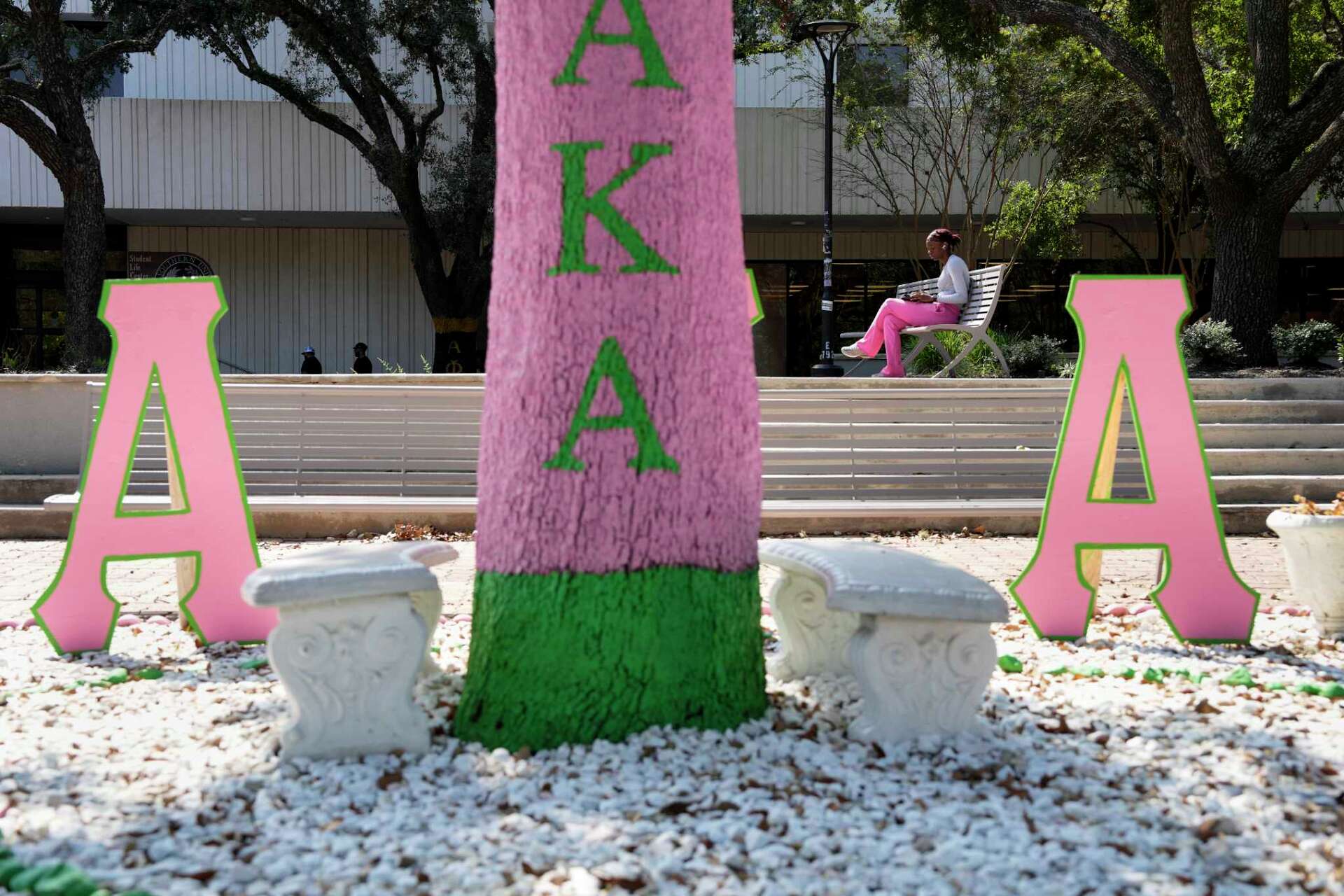 Liberal students on Houston campuses respond to election