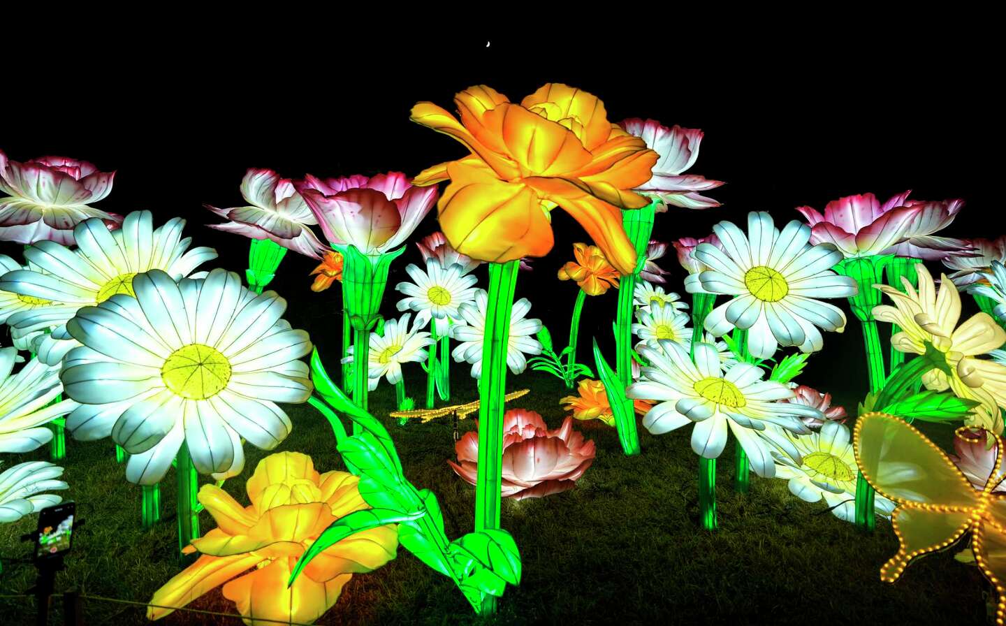 'Radiant Nature' light display opens at Houston Botanic Garden