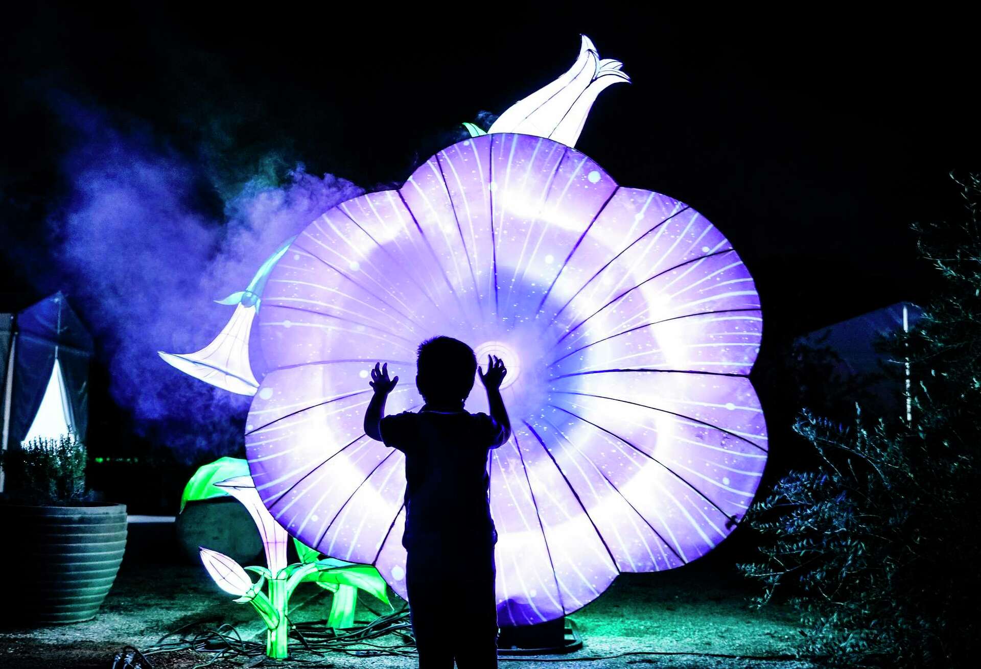 'Radiant Nature' light display opens at Houston Botanic Garden