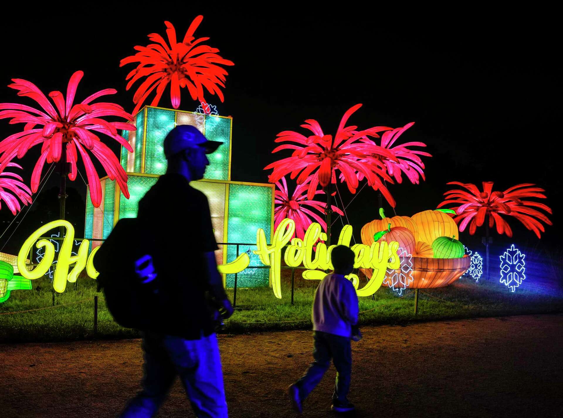 'Radiant Nature' light display opens at Houston Botanic Garden