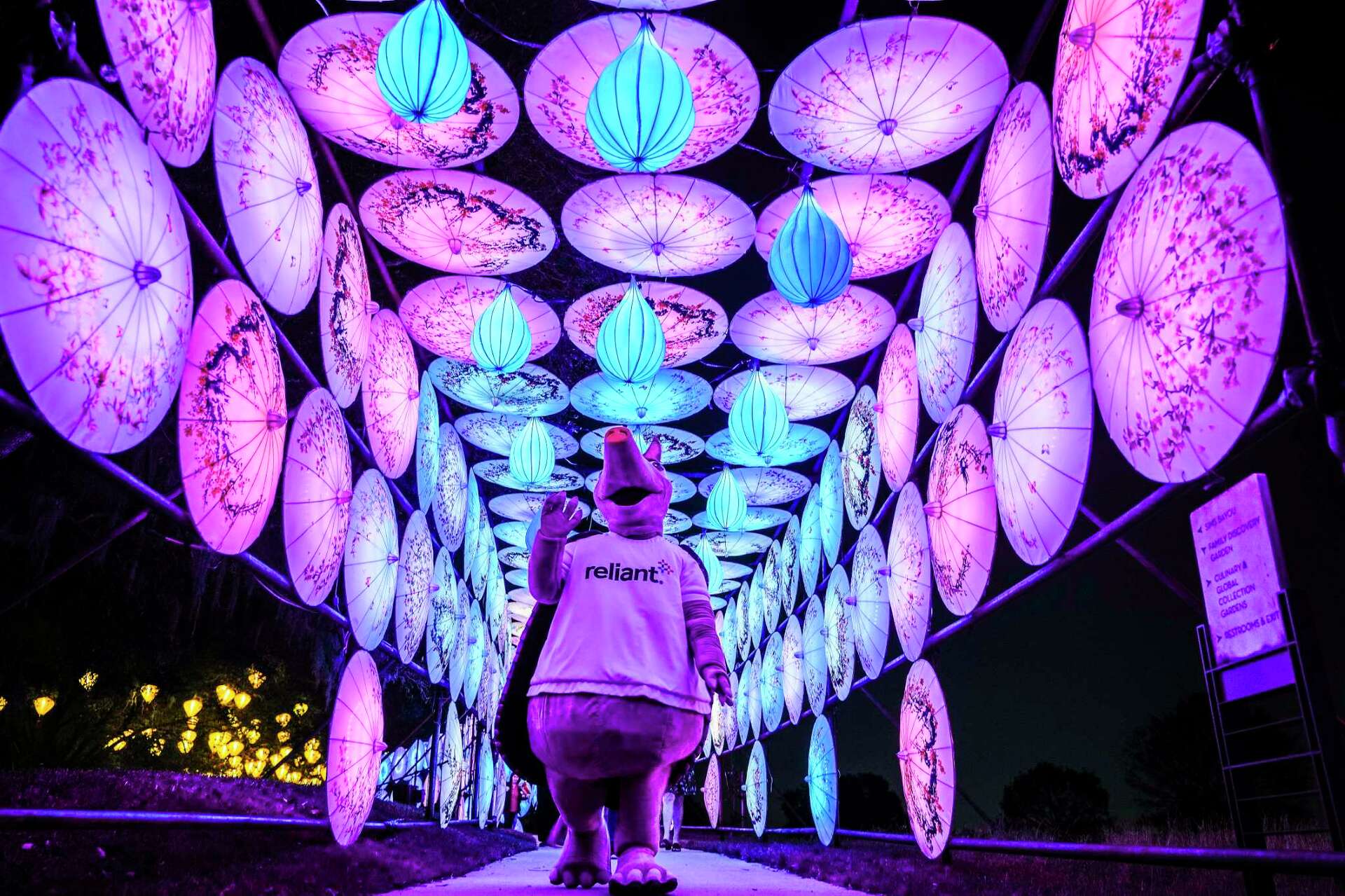 'Radiant Nature' light display opens at Houston Botanic Garden
