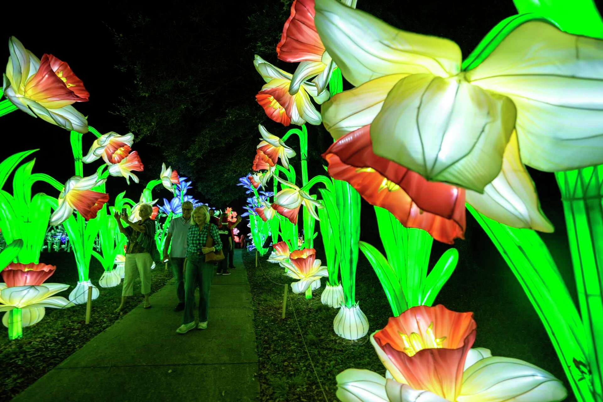 'Radiant Nature' light display opens at Houston Botanic Garden