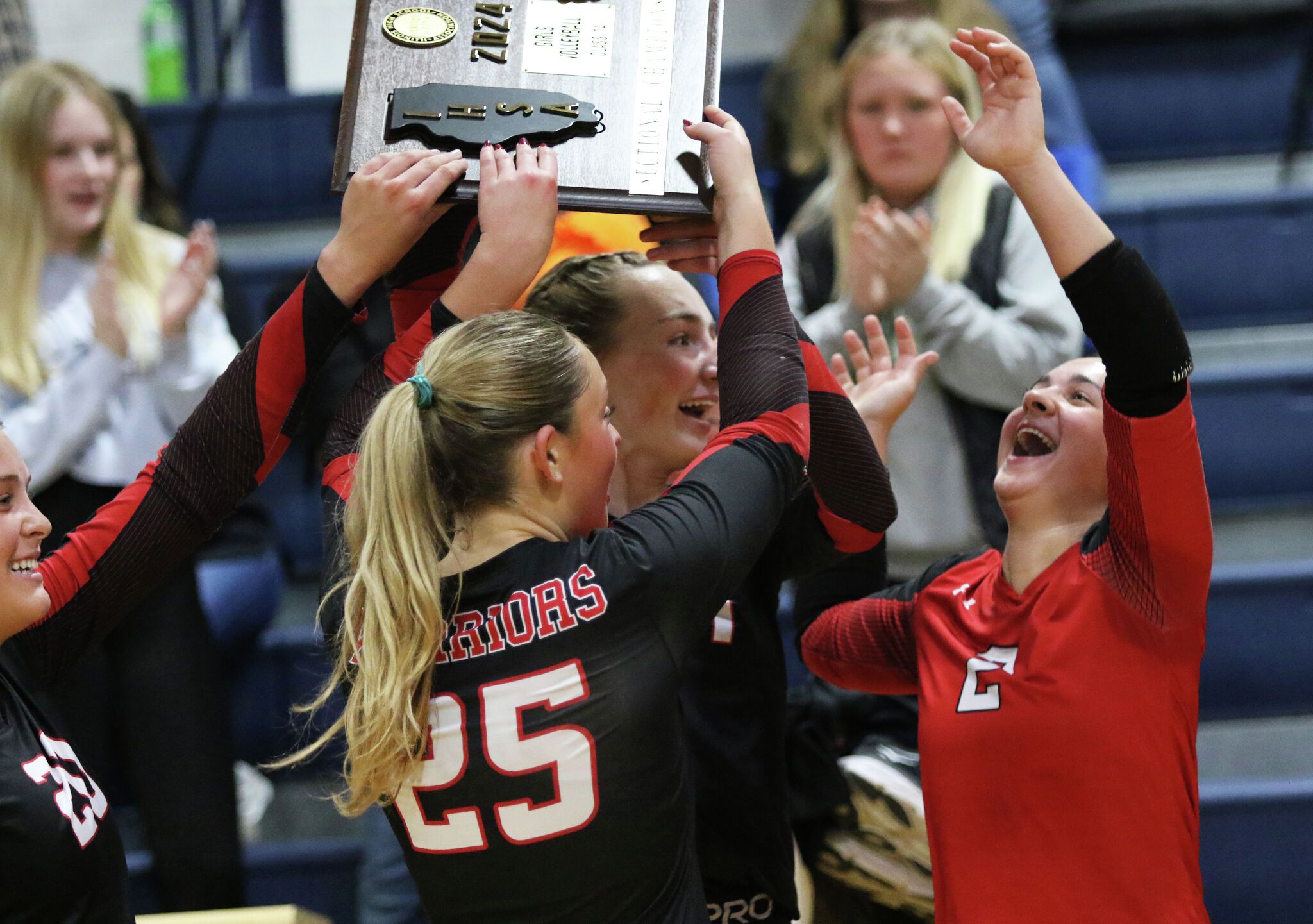 Calhoun wins volleyball sectional, looks for another 'one more game'