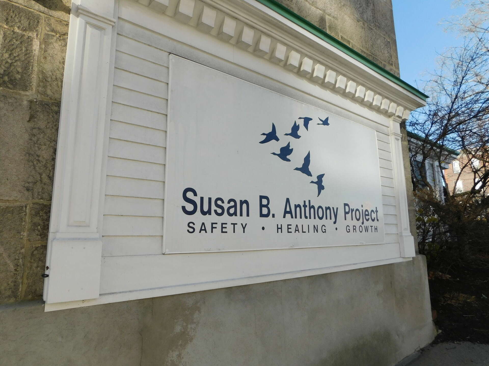 Proyecto Susan B Anthony
