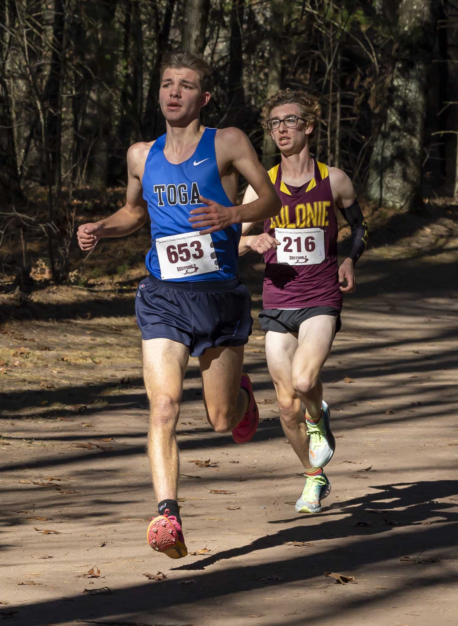 Albany-area cross country runners chase Section 2 championships