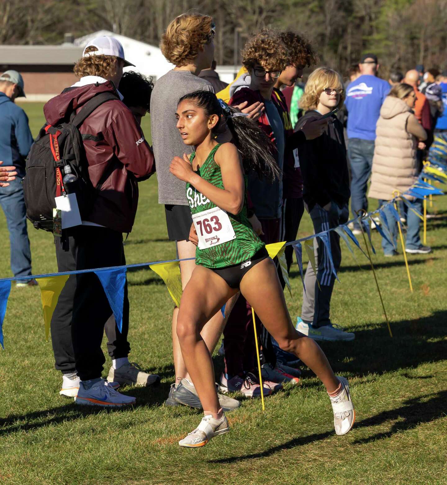 Albany-area cross country runners chase Section 2 championships
