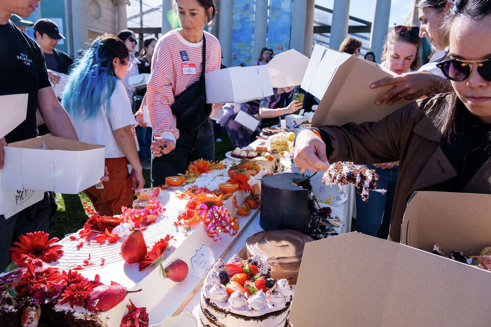 More than 600 cakes take over SF museum at whimsical cake picnic