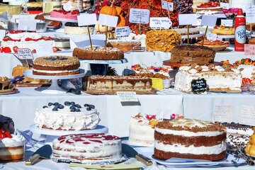 More than 600 cakes take over SF museum at whimsical cake picnic