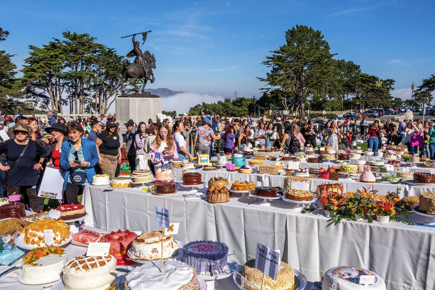 More than 600 cakes take over SF museum at whimsical cake picnic