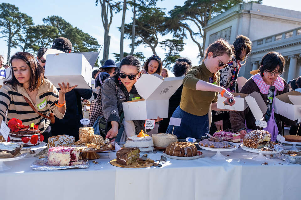 More than 600 cakes take over SF museum at whimsical cake picnic