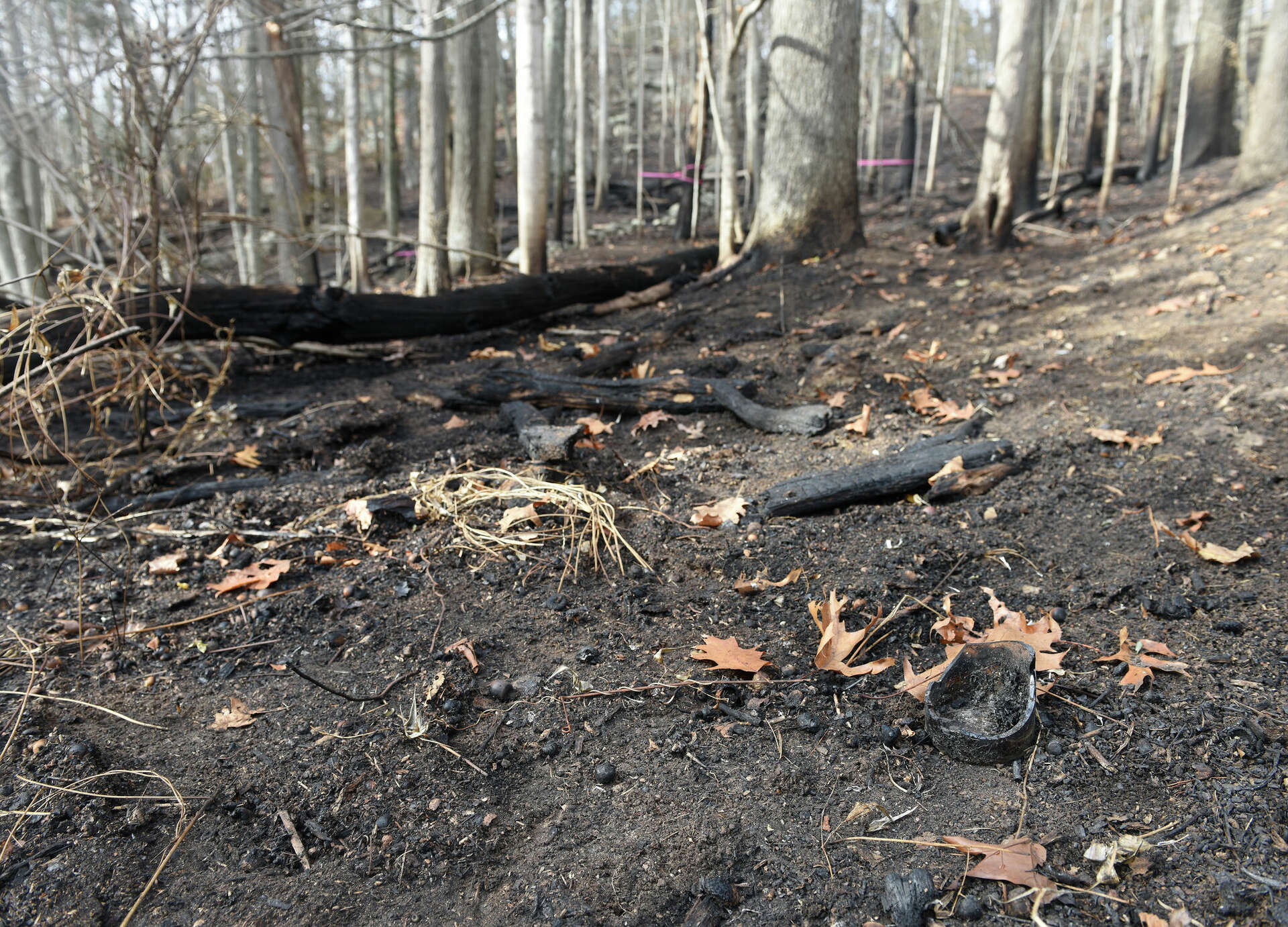 10 brush fires broke out in CT over the weekend, officials say