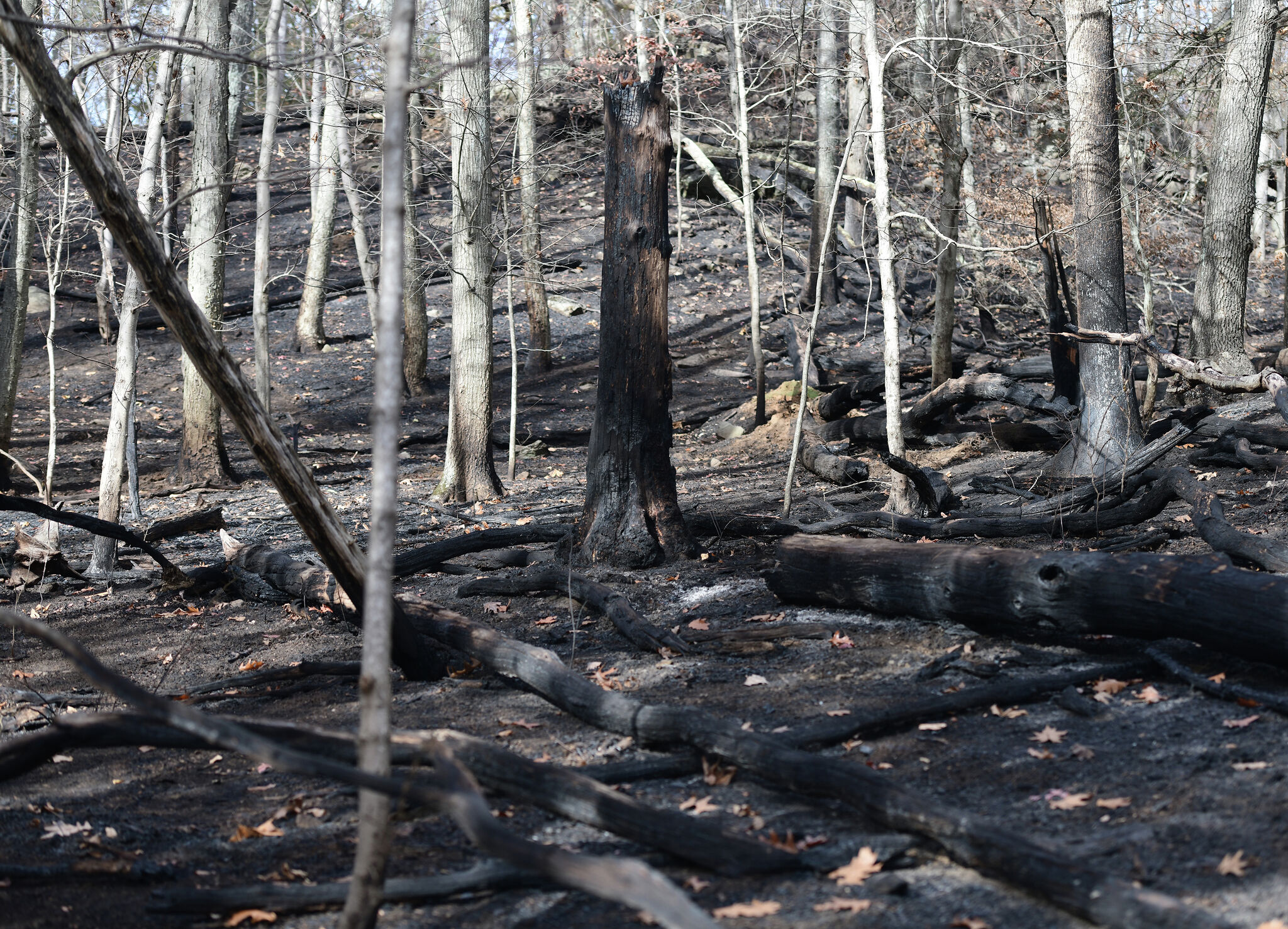 10 brush fires broke out in CT over the weekend, officials say