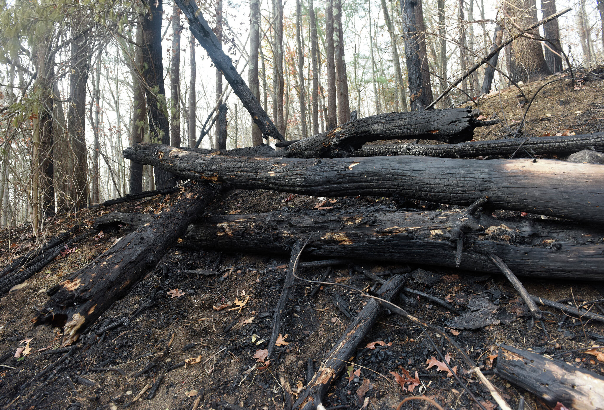 Risk of CT brush fires remains high Saturday under red flag warning