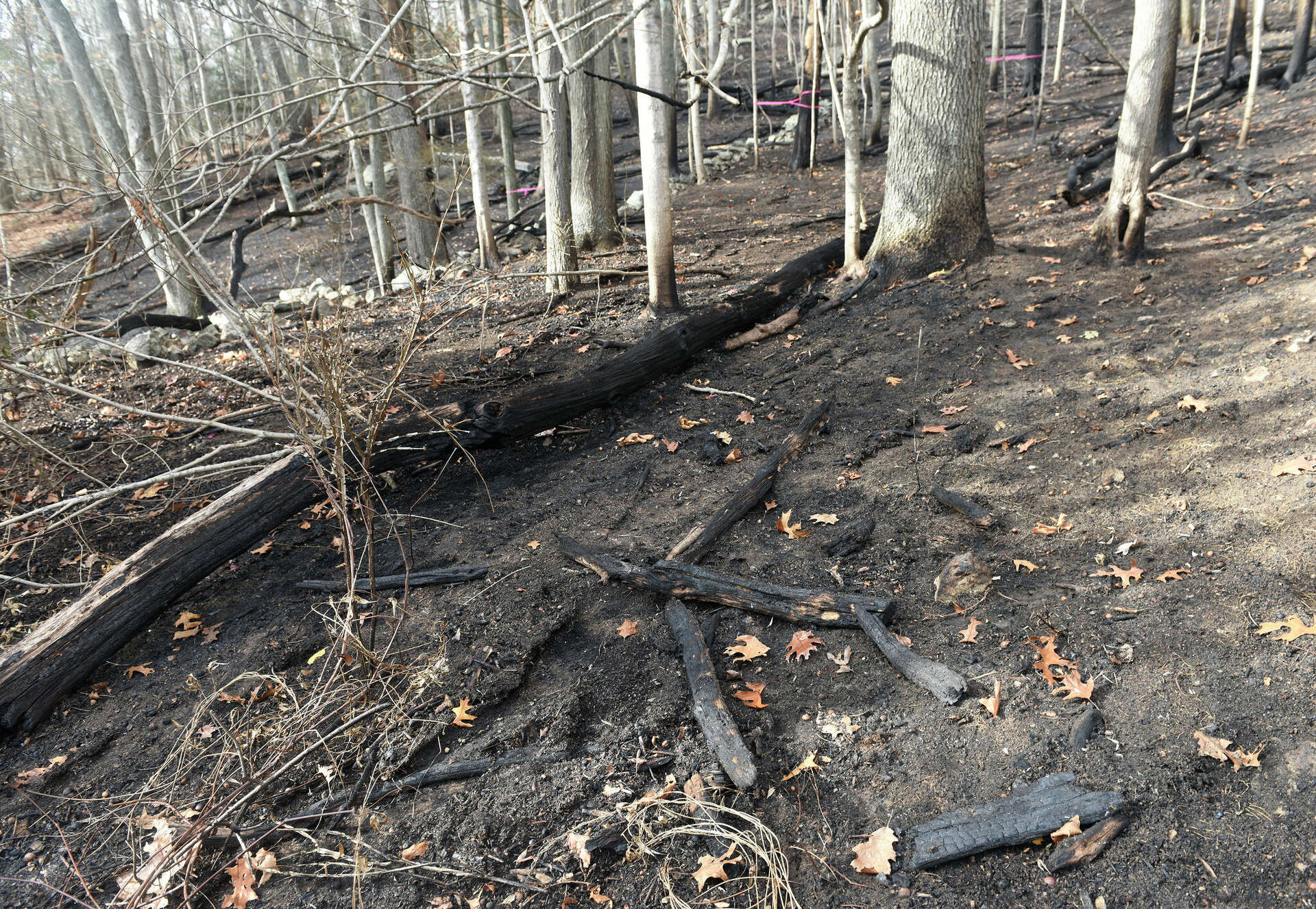 10 brush fires broke out in CT over the weekend, officials say