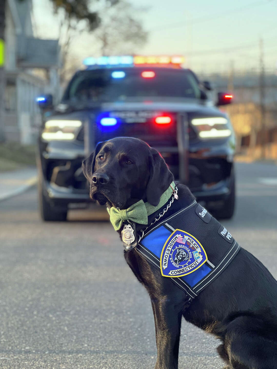 Middletown K9 Bear helps first responders, families deal with trauma