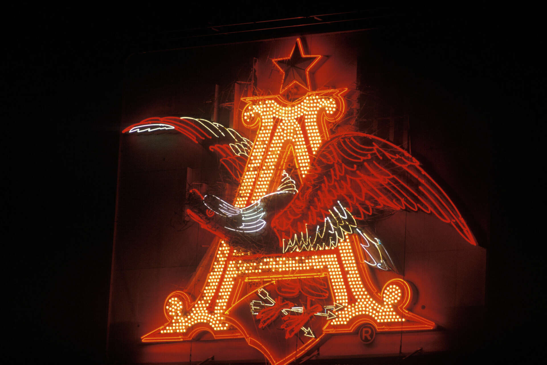 Iconic Anheuser-Busch neon sign glowing, flying in St. Louis once more
