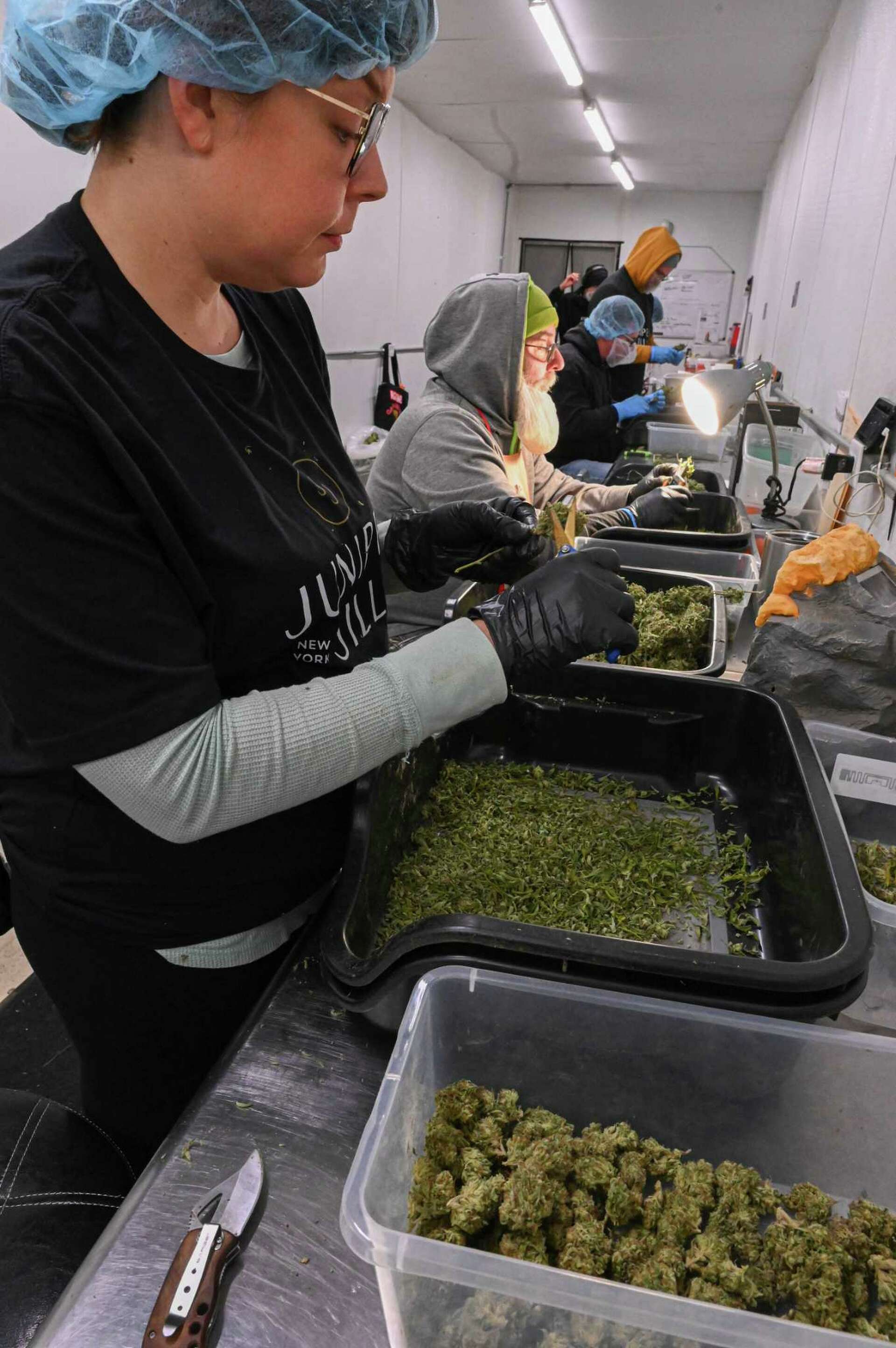 Juniper Jill cannabis farm sees success after retailers open