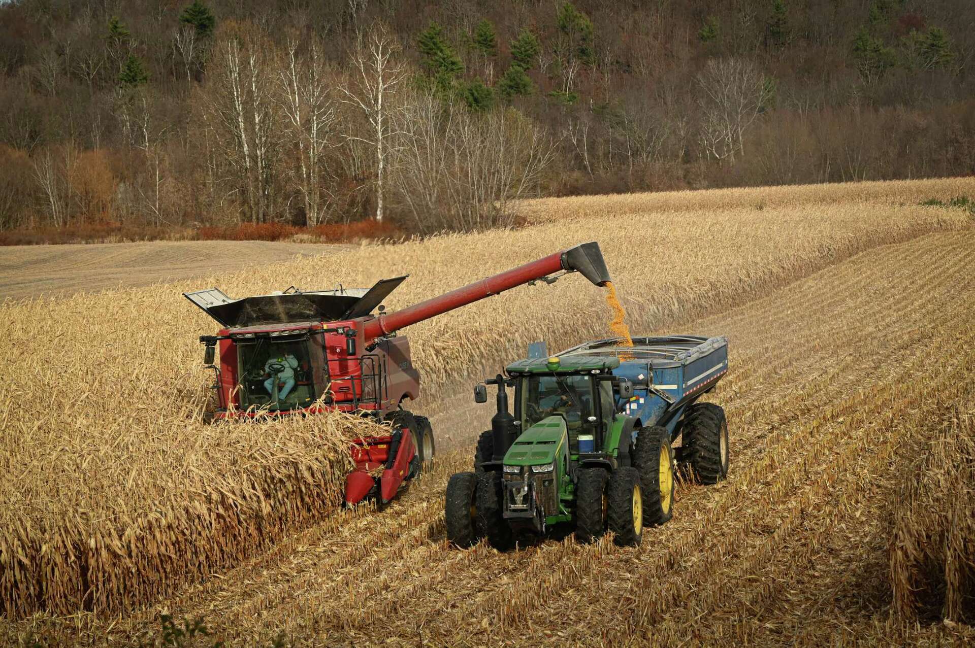 What could change in New York’s agriculture sector under Trump?