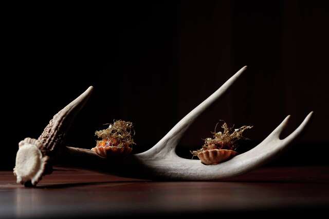 Enclos bringing ambitious fine dining to Sonoma