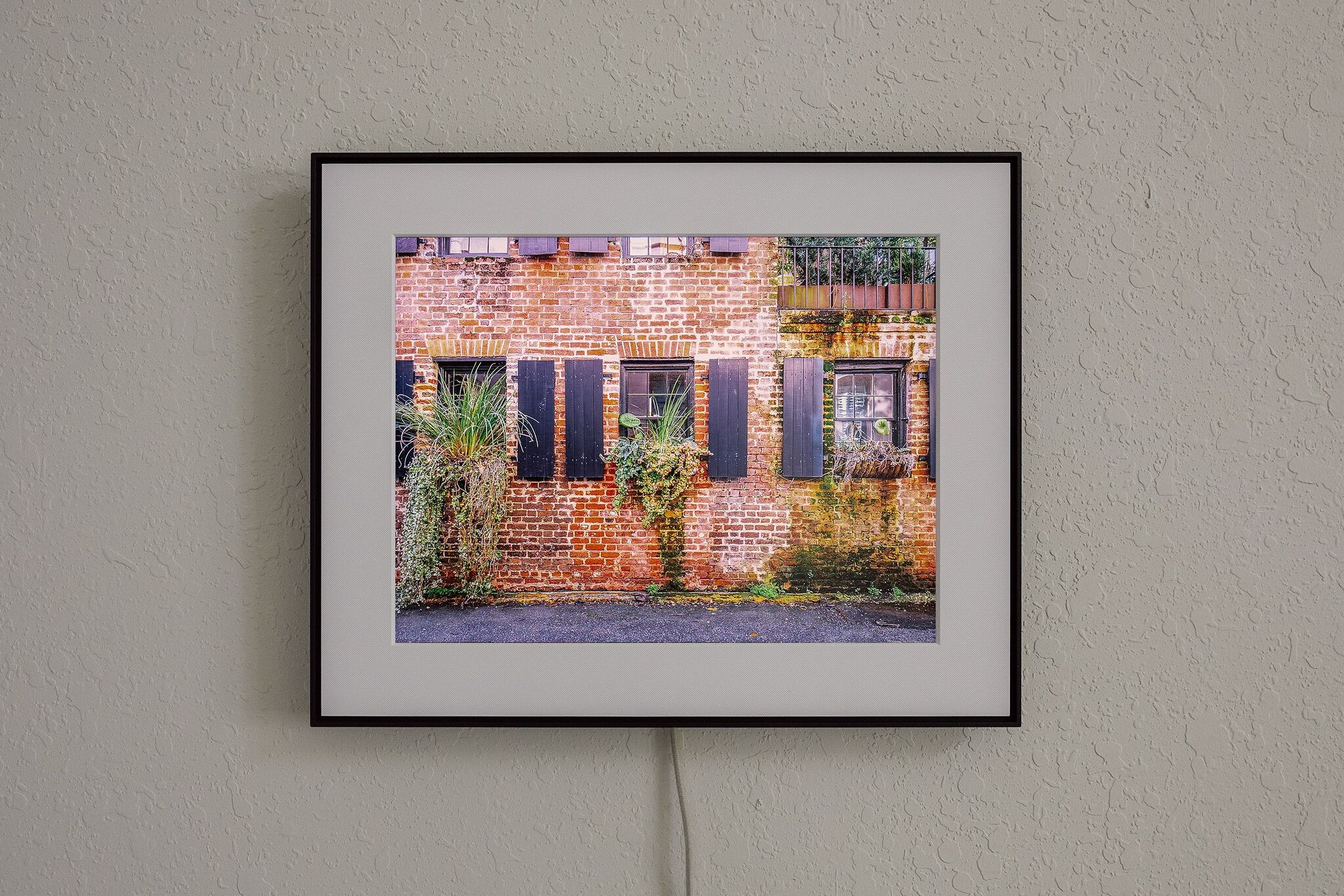 The best digital picture frames of 2026