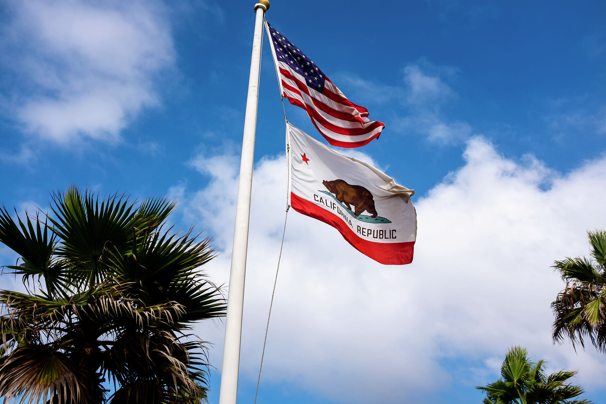 California needs global help to counter Trump’s threats