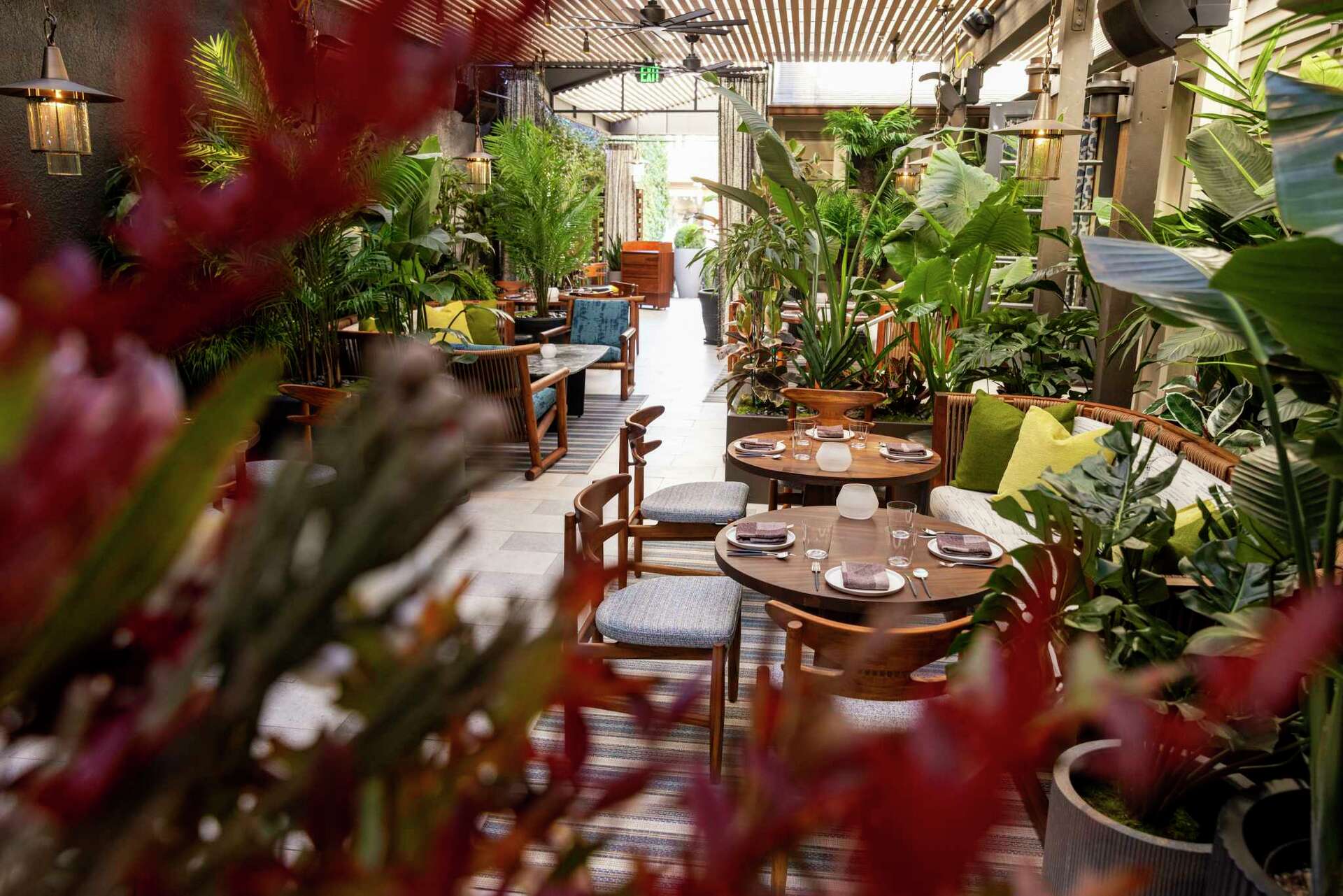 Enclos bringing ambitious fine dining to Sonoma