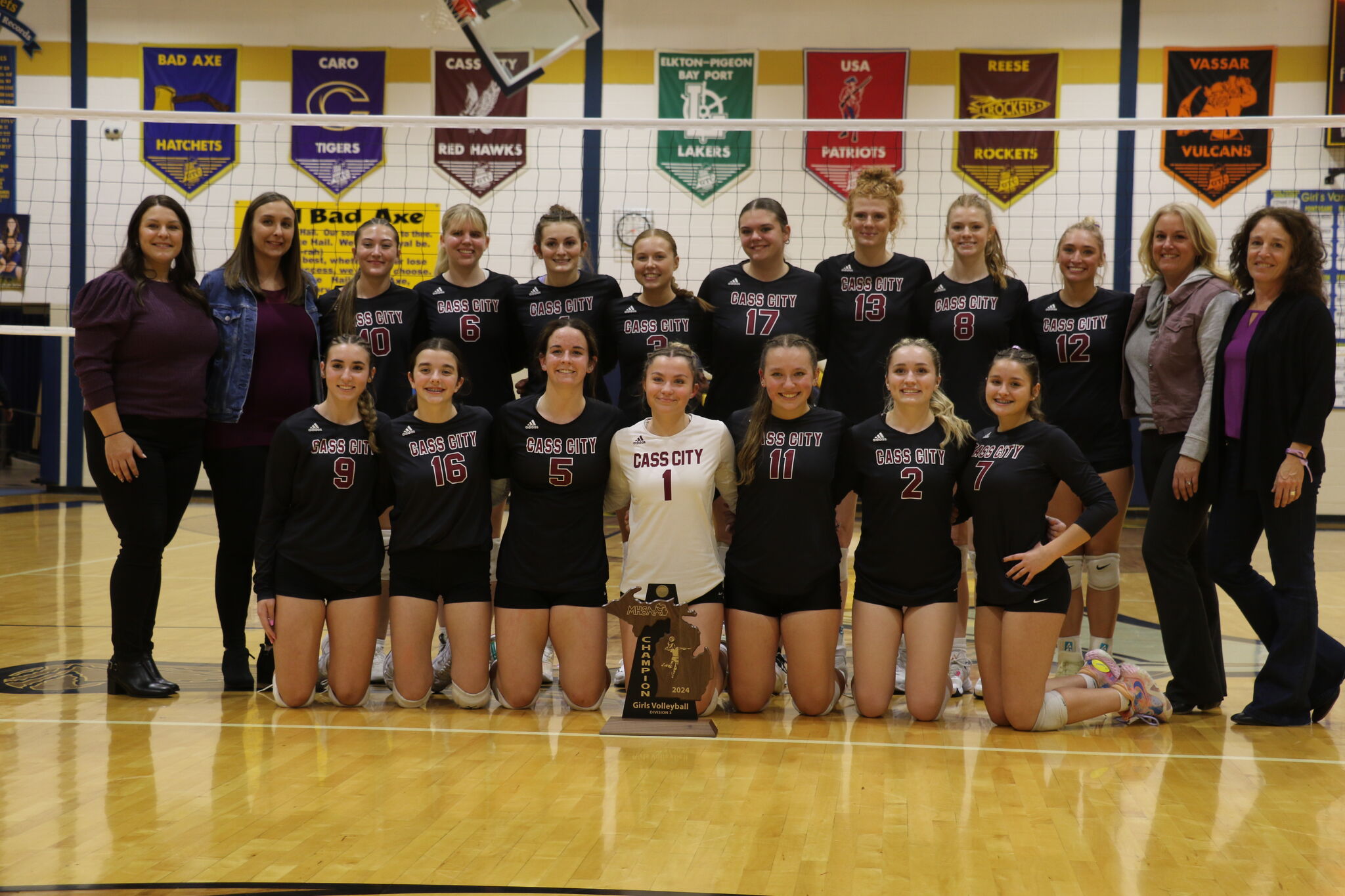 All-Thumb 2024 Volleyball teams announced